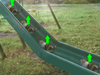 Upvote GIFs - Get the best gif on GIFER