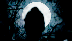 Encounters GIFs - Get the best gif on GIFER