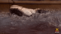 Swamp GIFs - Get the best gif on GIFER