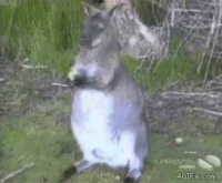 Jerk GIFs - Get the best gif on GIFER