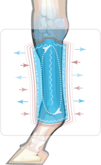 Compression GIFs - Get the best gif on GIFER