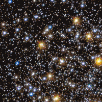 Cutaway GIFs - Get the best gif on GIFER