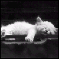 Evga GIFs - Get the best gif on GIFER