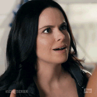 Budd GIFs - Get the best gif on GIFER