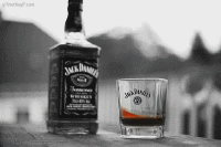 Whisky GIFs - Get the best gif on GIFER