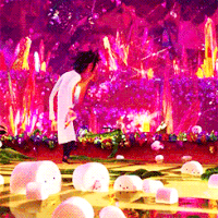 Marshmallow GIFs - Get the best gif on GIFER