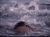 Swimmers GIFs - Get the best gif on GIFER