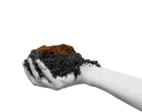 Growth GIFs - Get the best gif on GIFER