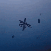 Resurrection GIFs - Get the best gif on GIFER