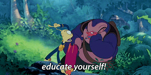 Knowledgeif GIF - Conseguir o melhor gif em GIFER