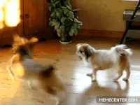 Fertig GIFs - Get the best gif on GIFER