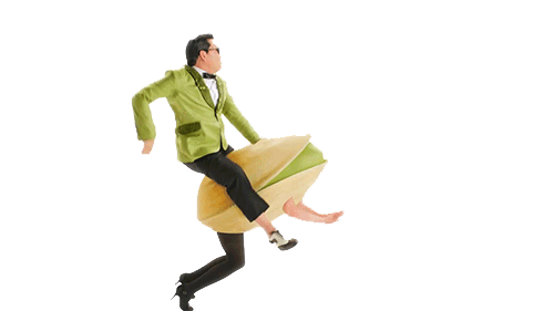 Pistachio GIFs - Get the best gif on GIFER