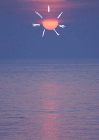 Sunny GIFs - Get the best gif on GIFER