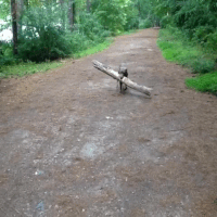 Palo GIFs - Get the best gif on GIFER