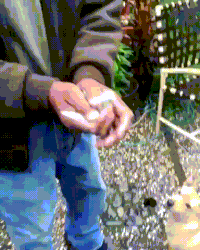 Releasing GIFs - Get the best gif on GIFER