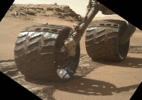 Dingo GIFs - Get the best gif on GIFER