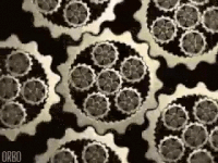 Gear GIFs - Get the best gif on GIFER