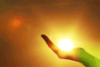 Sunny GIFs - Get the best gif on GIFER