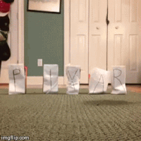 Budgets GIFs - Get the best gif on GIFER