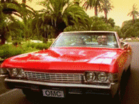 How bizarre GIFs - Get the best gif on GIFER