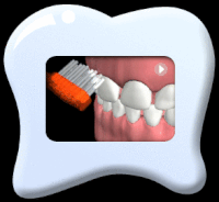 Tooth GIFs - Get the best gif on GIFER