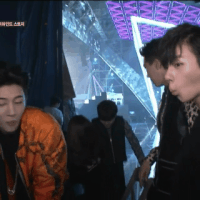 Sieger GIFs - Get the best gif on GIFER