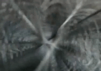 Enemigo GIFs - Get the best gif on GIFER