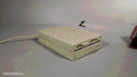 Whyyyy GIFs - Get the best gif on GIFER