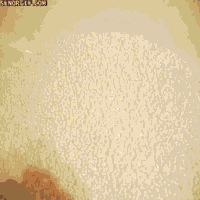 Fill GIFs - Get the best gif on GIFER