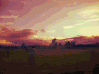 Spontaneous GIFs - Get the best gif on GIFER