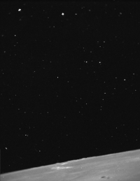 Ladee GIF - Conseguir o melhor gif em GIFER