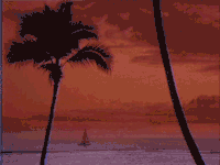 Sailboat GIFs - Get the best gif on GIFER