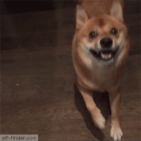 Danser GIFs - Obtenez le meilleur gif sur GIFER