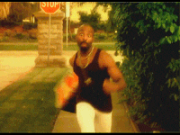 Cracking GIFs - Get the best gif on GIFER