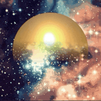 Filter GIFs - Get the best gif on GIFER