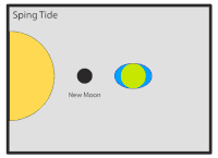 Tide GIFs - Get the best gif on GIFER