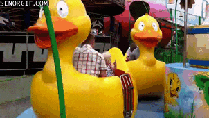 Duckduck GIFs - Get the best gif on GIFER