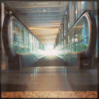 Mold GIFs - Get the best gif on GIFER