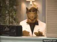 Alf GIFs - Get the best gif on GIFER