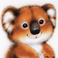 Koala GIFs - Get the best gif on GIFER