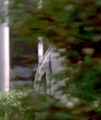 Hellraiser iii GIFs - Get the best gif on GIFER