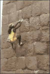Climber GIFs - Get the best gif on GIFER
