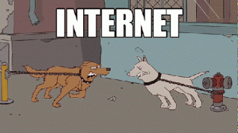 Internet real life GIFs - Obtenez le meilleur gif sur GIFER
