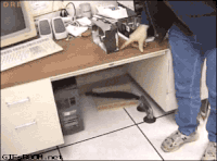 Disquete GIFs - Get the best gif on GIFER