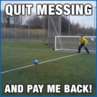 Halifax GIFs - Get the best gif on GIFER