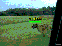 Runescape GIFs - Get the best gif on GIFER