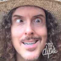 Fool GIFs - Get the best gif on GIFER