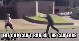 Tasea GIFs - Get the best gif on GIFER