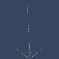 Fern GIFs - Get the best gif on GIFER