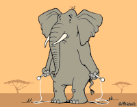 Skip GIFs - Get the best gif on GIFER